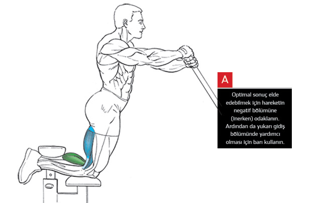 Arka Bacak Egzersizleri: Reverse Hamstring Curl - Fit Hub