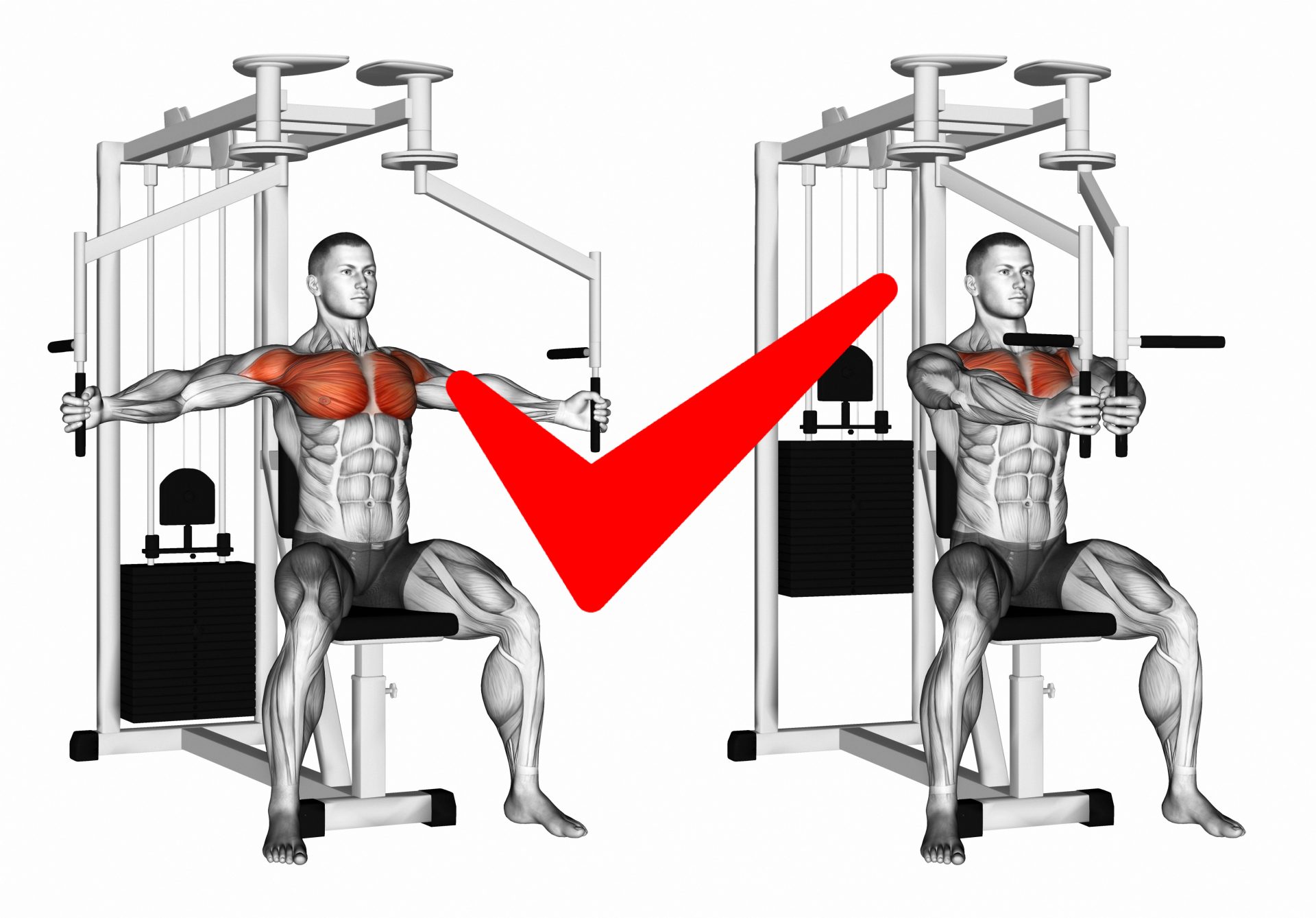 Peck-Deck mi, Machine Flye mı? - Fit Hub