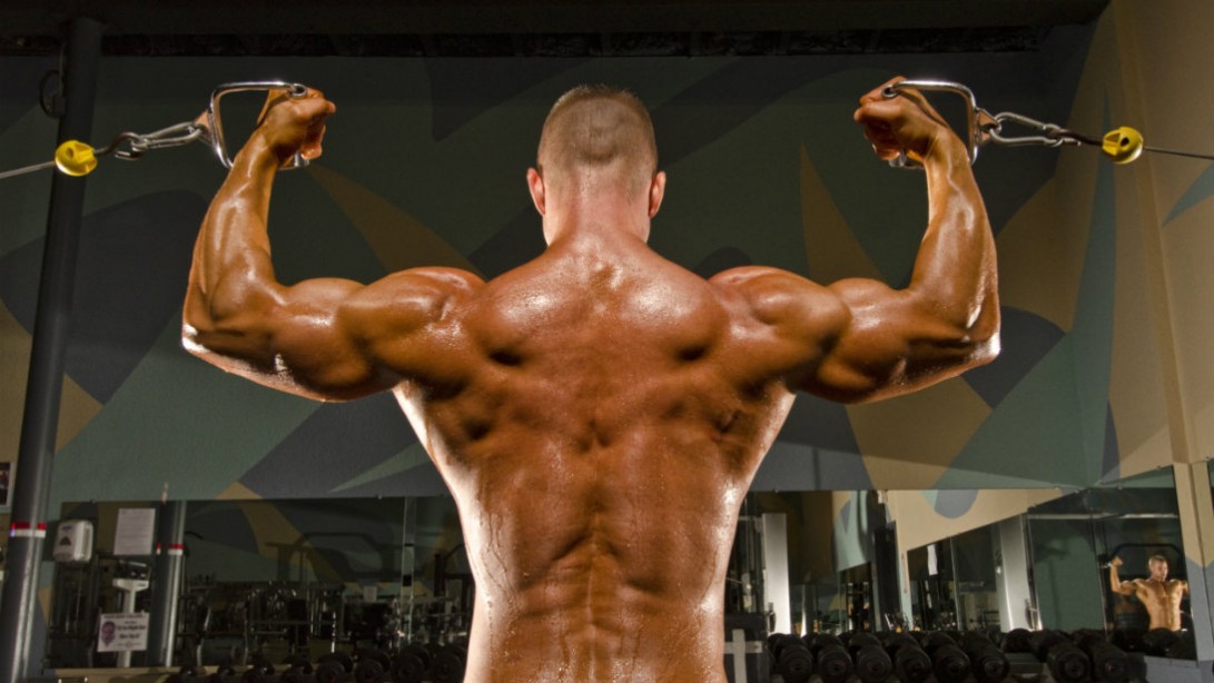 Biceps Antrenmanı Nasıl Zorlaştırılır? - Fit Hub